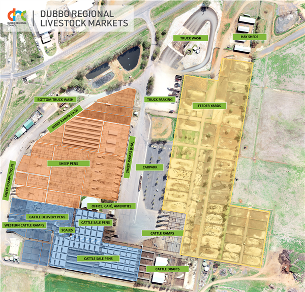 Dubbo Regional Livestock Markets - Dubbo Regional Council